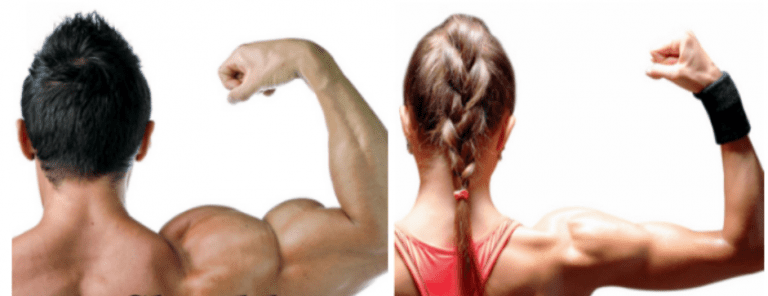 How To Build Muscle And Lose Fat For Females